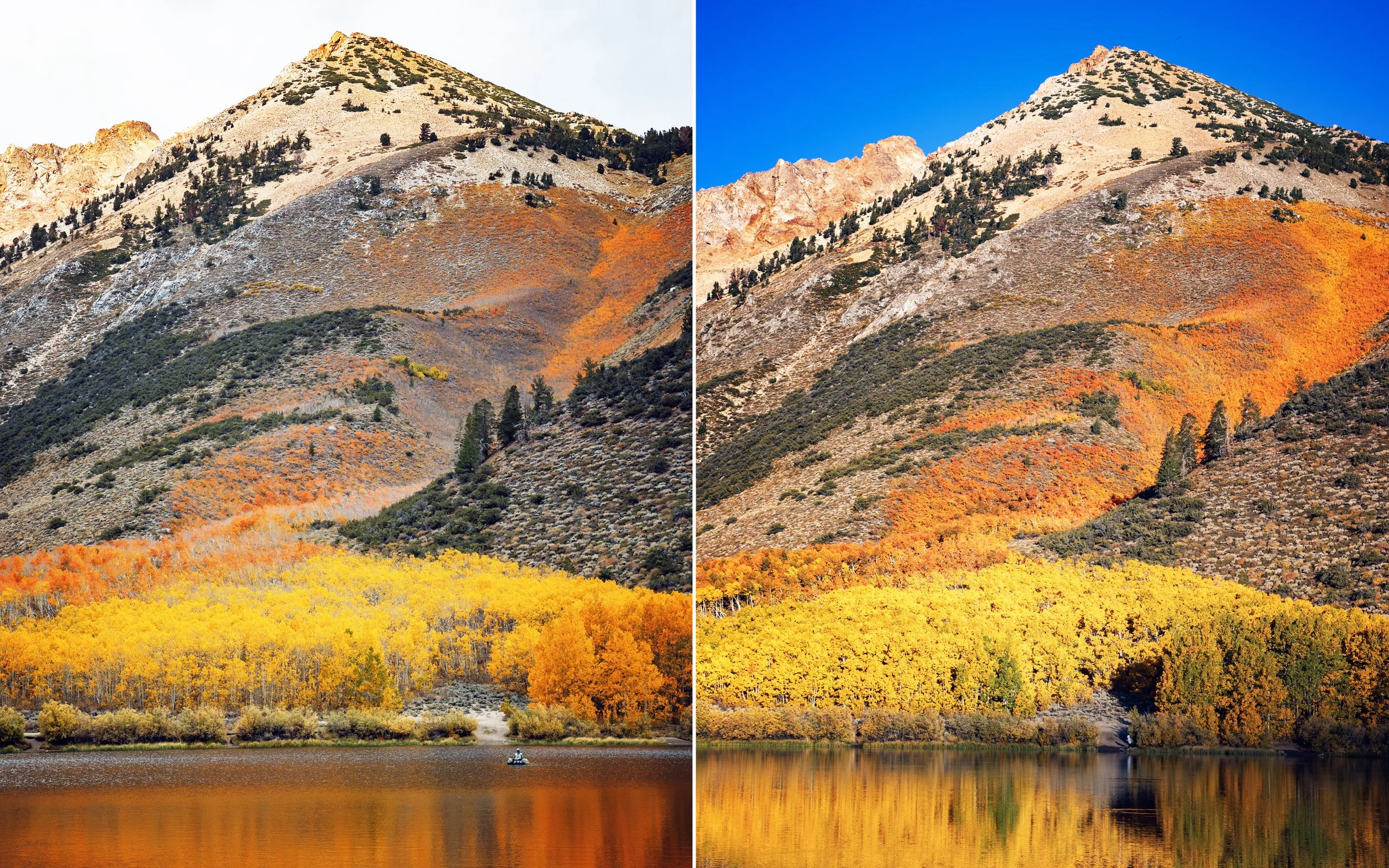 Eastern Sierra Fall Colors Report (10/9) **GO NOW/GO SOON** — Flying ...