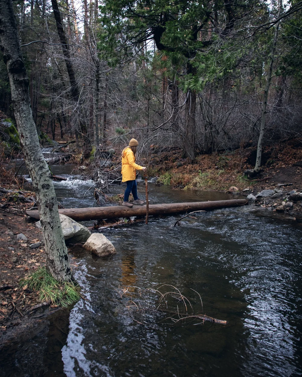 Exploring the Waterfalls of Lewis Creek Trail - Oakhurst, CA — Flying ...