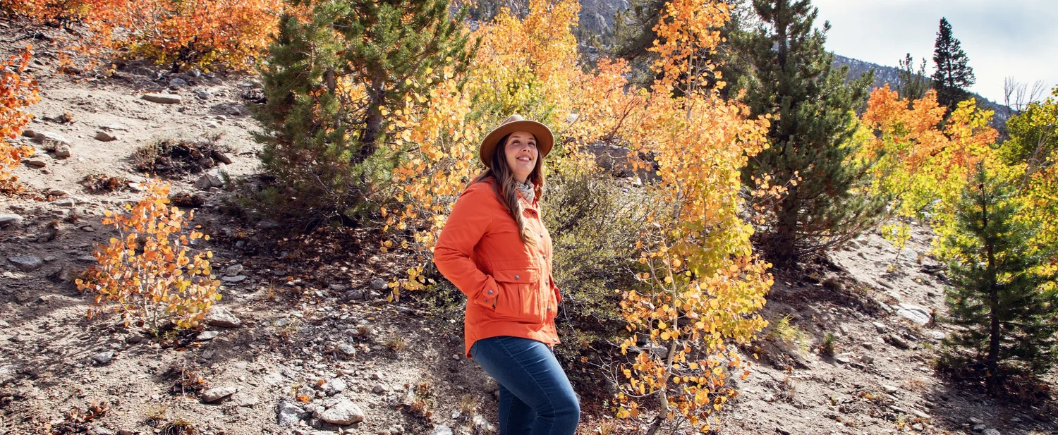 Eastern Sierra Fall Colors CURRENT CONDITIONS (North Lake & Bishop ...