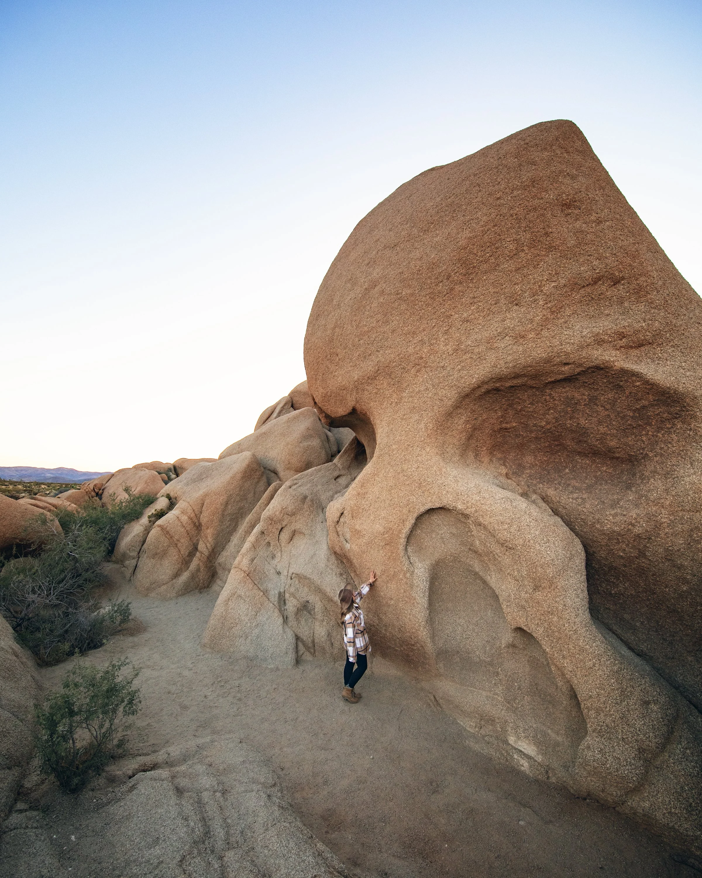 Discovery Trail (Joshua Tree) Kid-Friendly Hike — Flying Dawn Marie ...