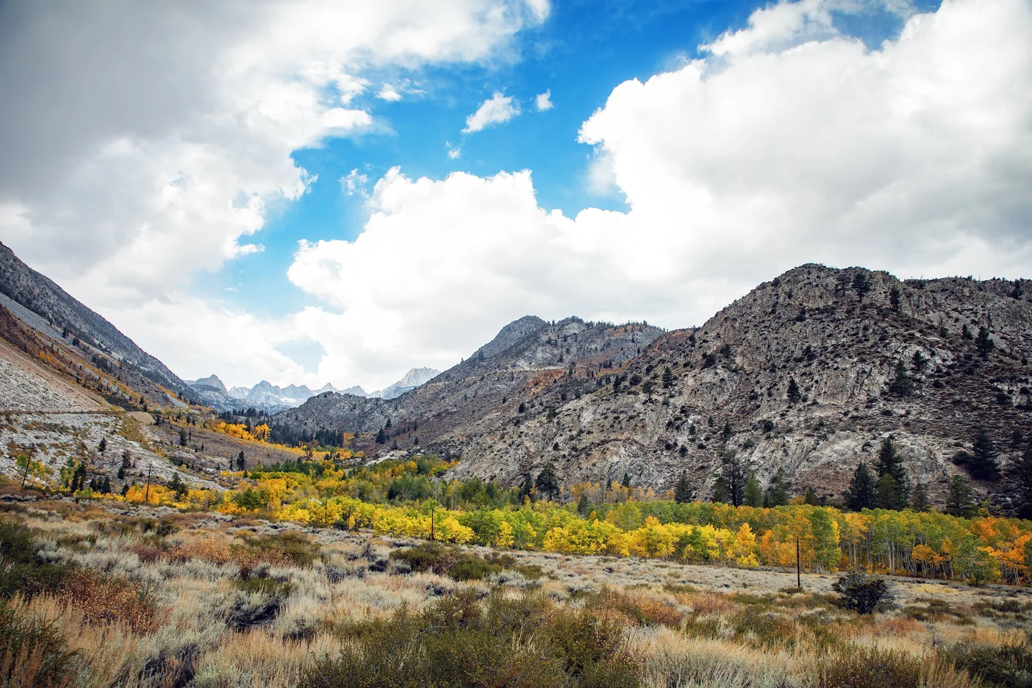 Eastern Sierra Fall Colors Report (10/9) **GO NOW/GO SOON** — Flying ...