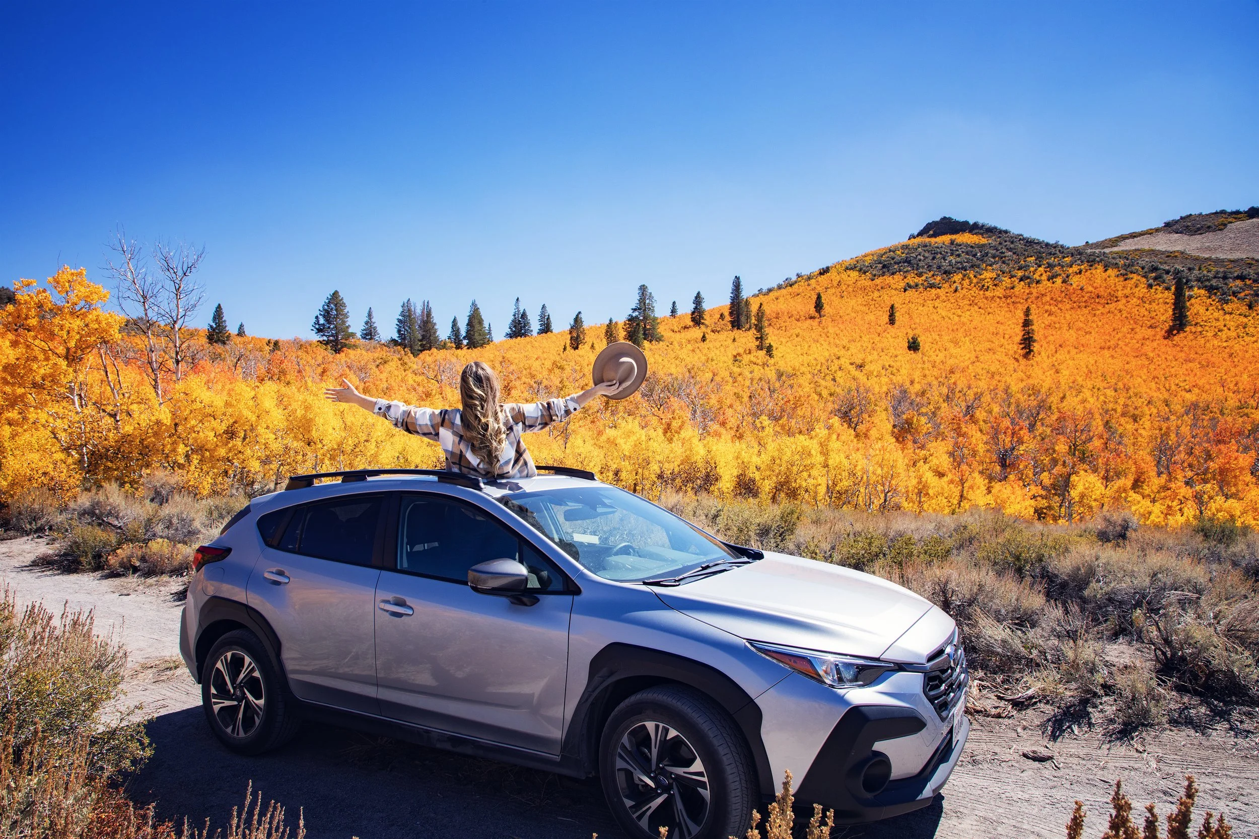 Eastern Sierra Fall Color Report (GO NOW/GO SOON) - Top Spots in Mono ...