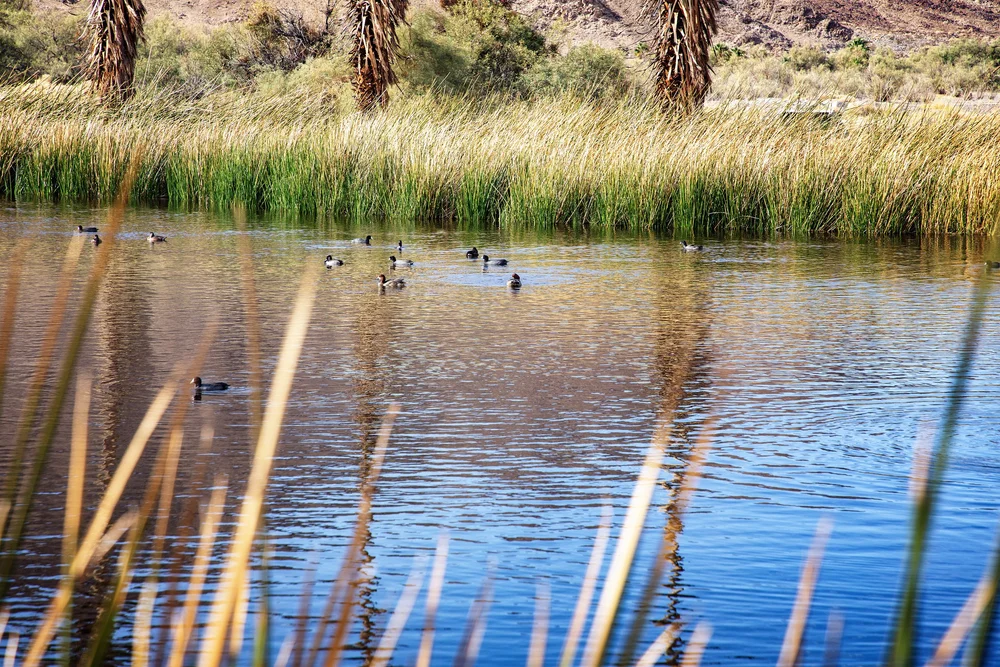 Exploring ZZYZX - Quirky Stop on Your Road Trip from LA to Vegas ...