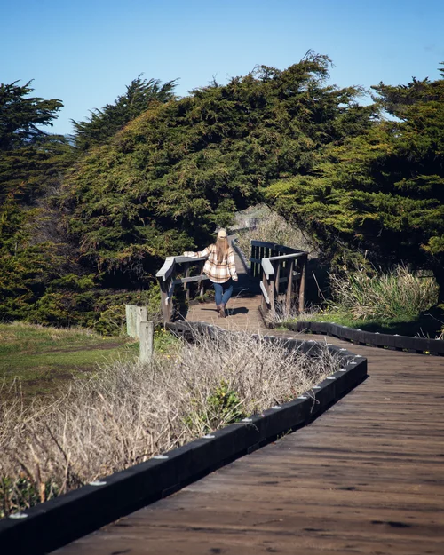 Moonstone Beach First Timers Guide (Cambria, CA) — Flying Dawn Marie ...