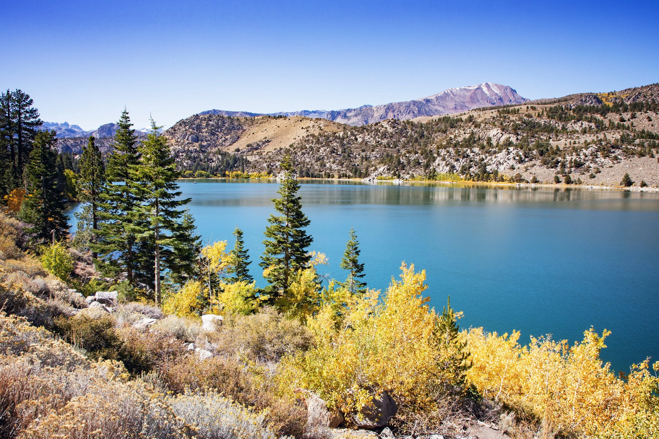 Eastern Sierra Fall Color Report (GO NOW!) - Bishop & Mono County ...