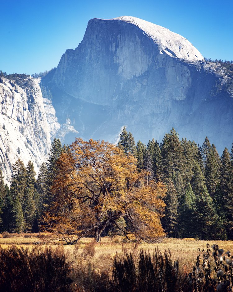 Top 15 Spots for YOSEMITE VALLEY Fall Colors (Travel Guide) — Flying ...