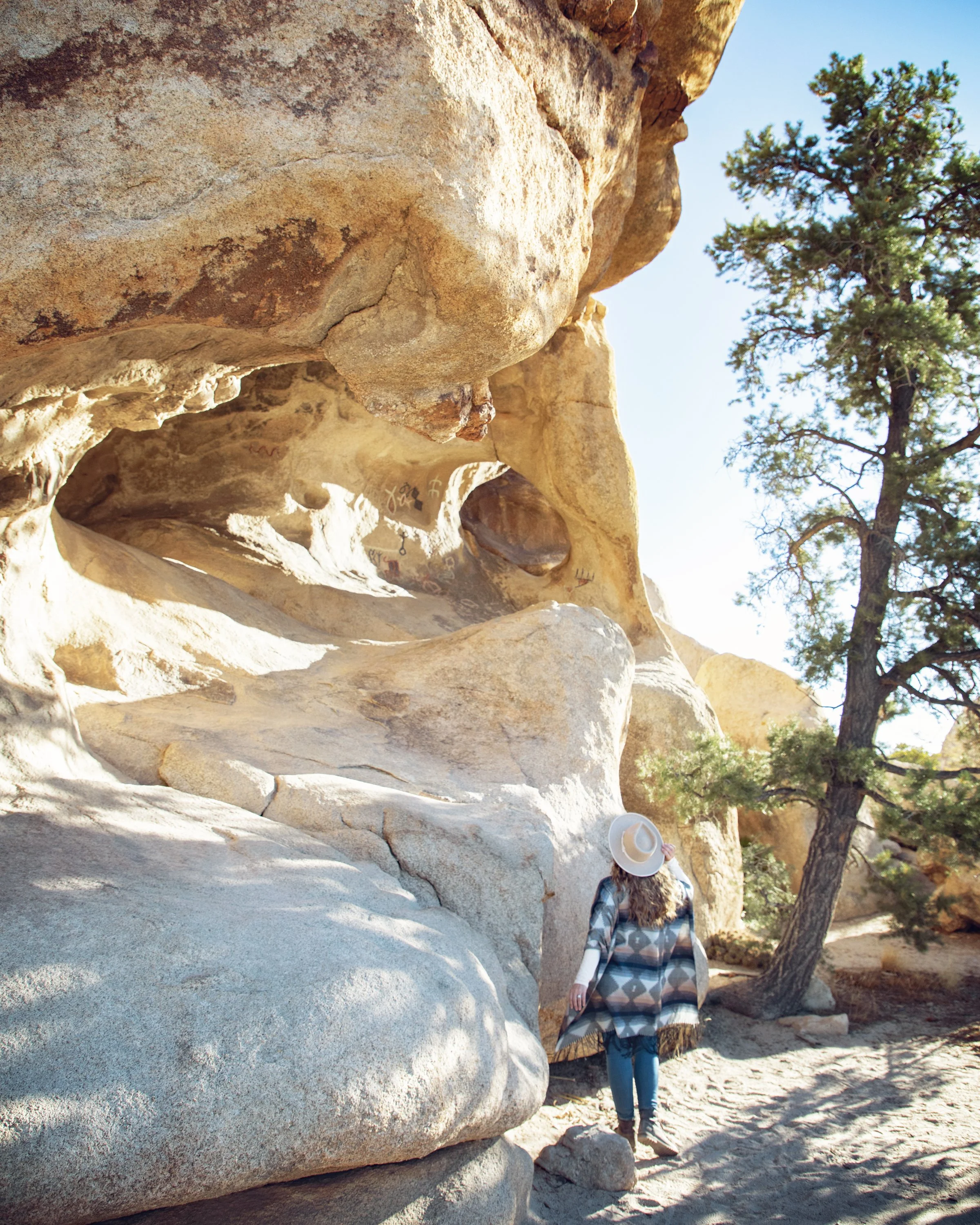 Top 8 Rock Formations - Joshua Tree National Park — Flying Dawn Marie ...