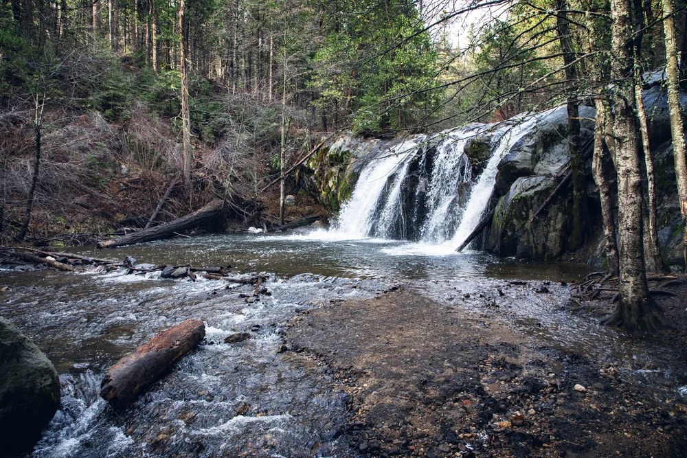 Exploring the Waterfalls of Lewis Creek Trail - Oakhurst, CA — Flying ...