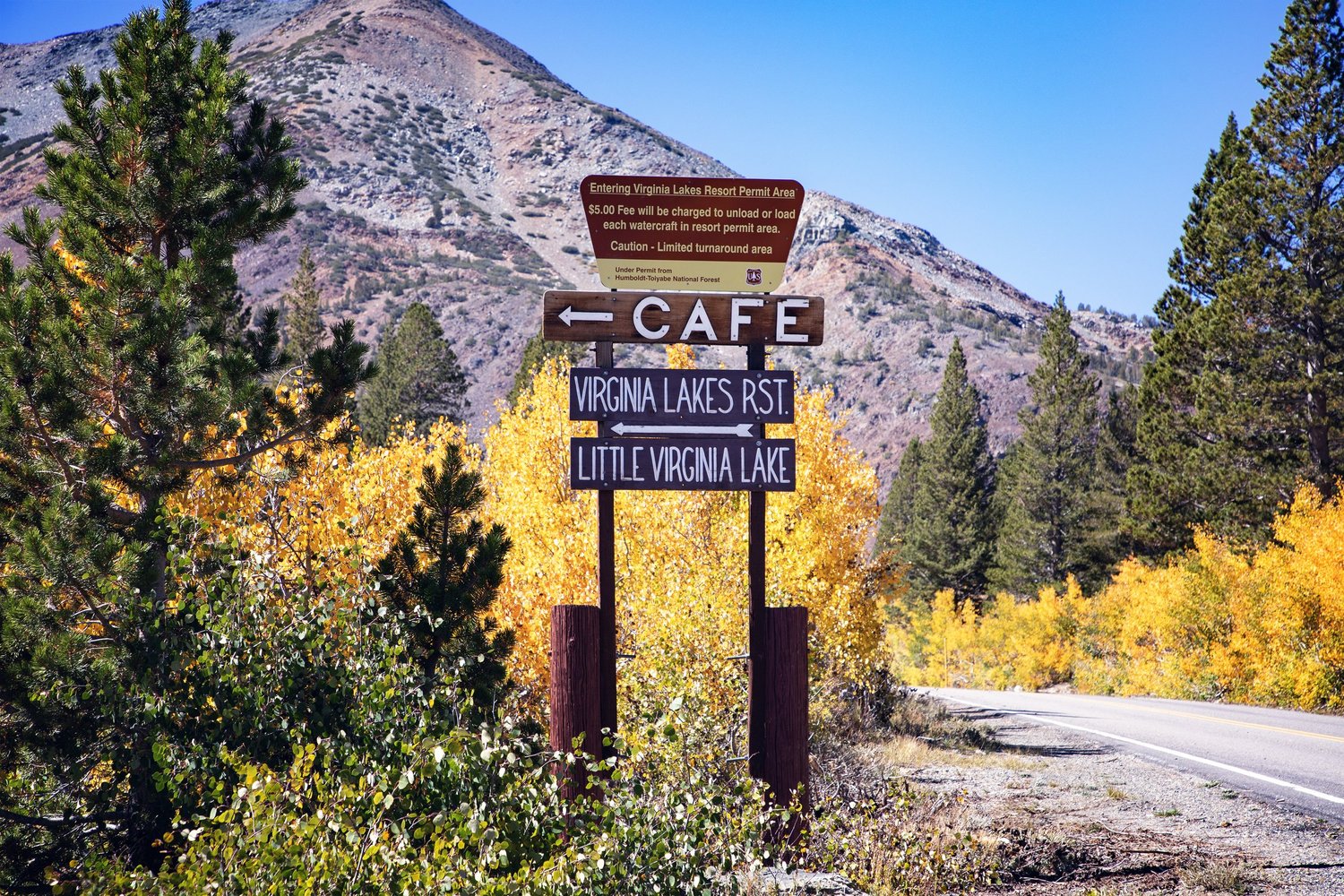Eastern Sierra Fall Color Report (GO NOW/GO SOON) - Top Spots in Mono ...