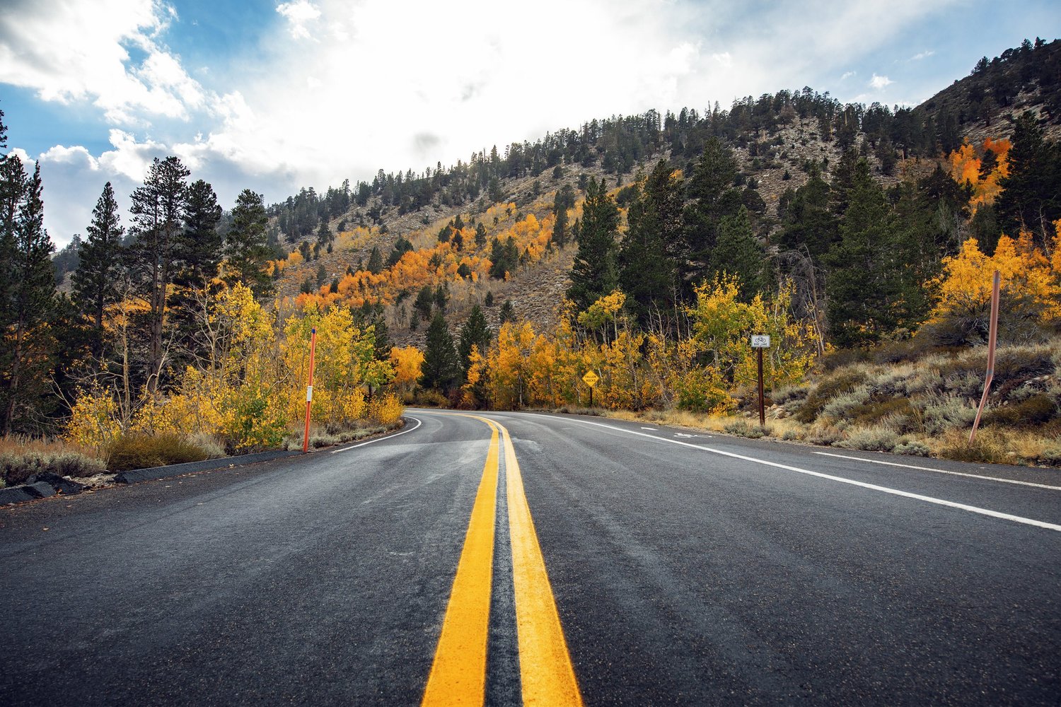 Eastern Sierra Fall Colors Report (10/9) **GO NOW/GO SOON** — Flying ...