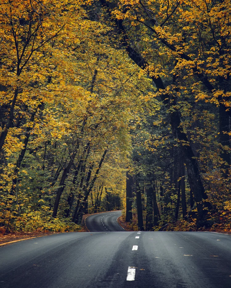 Yosemite National Park: When is the Best Season to Visit? — Flying Dawn ...