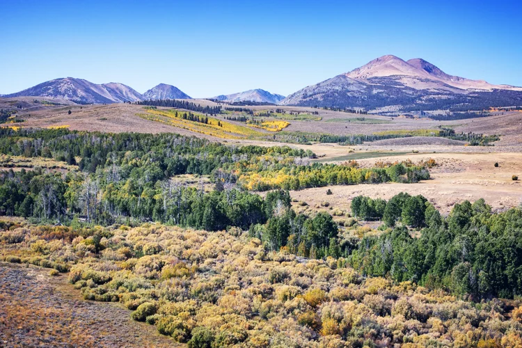 Eastern Sierra Fall Color Report (GO NOW/GO SOON) - Top Spots in Mono ...