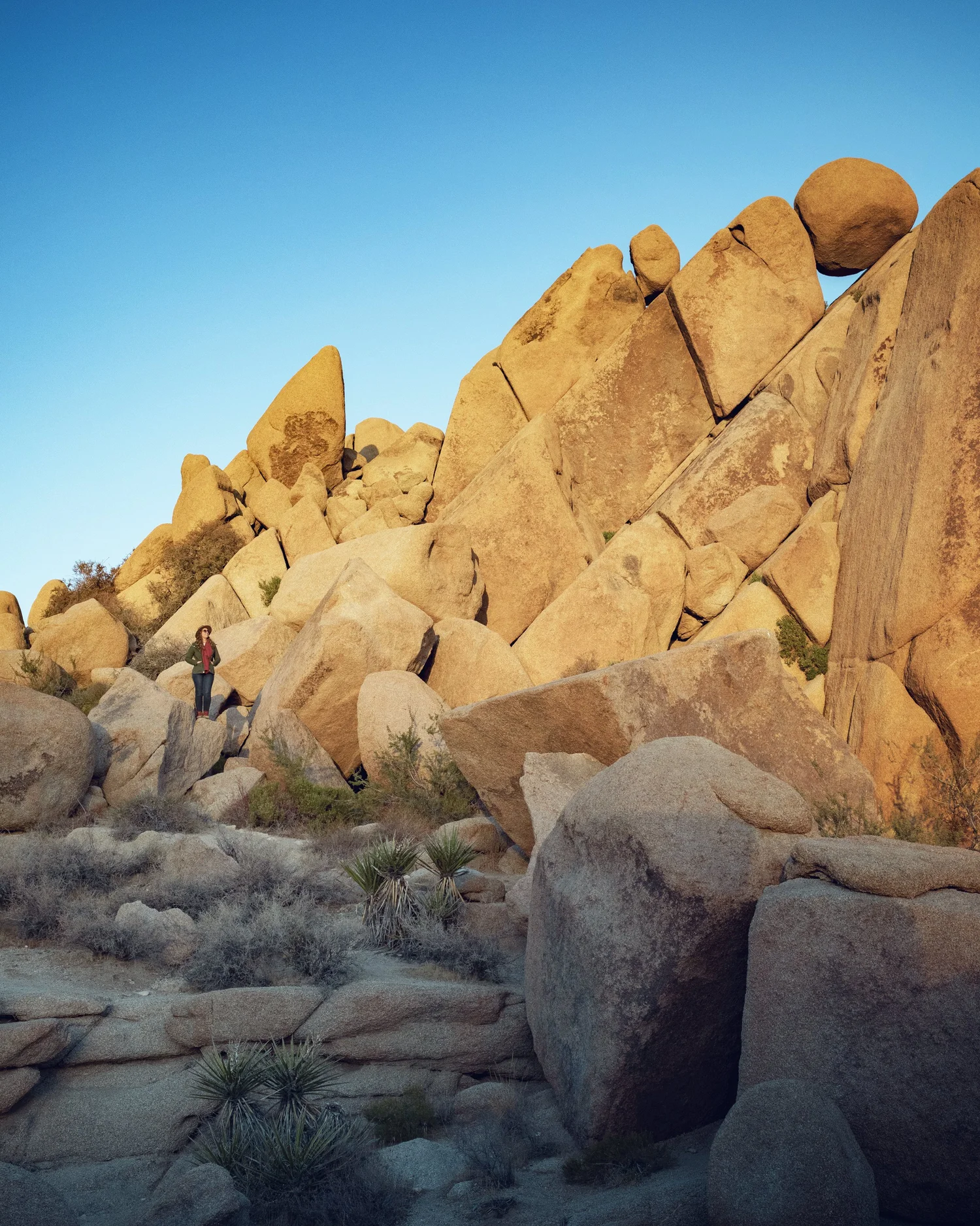 Top 8 Rock Formations - Joshua Tree National Park — Flying Dawn Marie ...