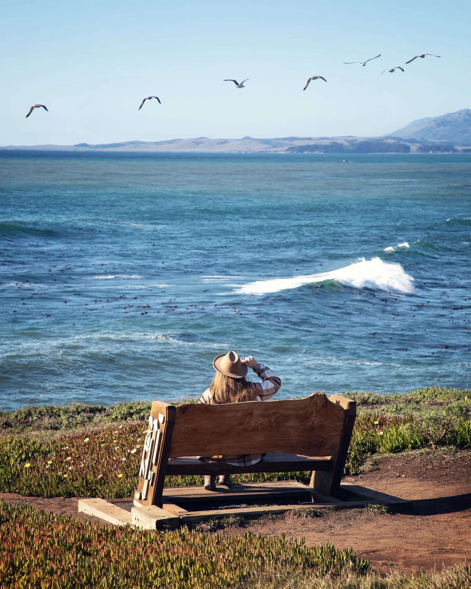 Fiscalini Ranch Preserve - Best Hikes & Coastal Views in Cambria, CA ...