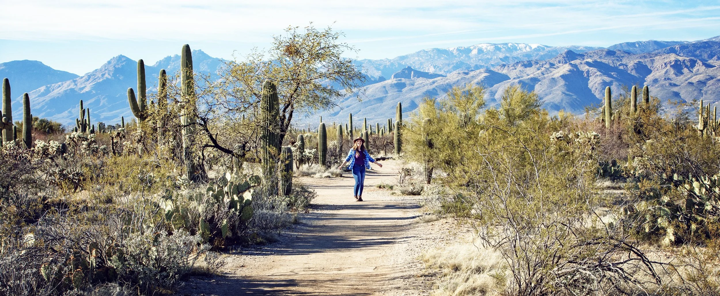Mica View Trail - Easy & Fun Hike in Saguaro National Park (Tucson, AZ ...