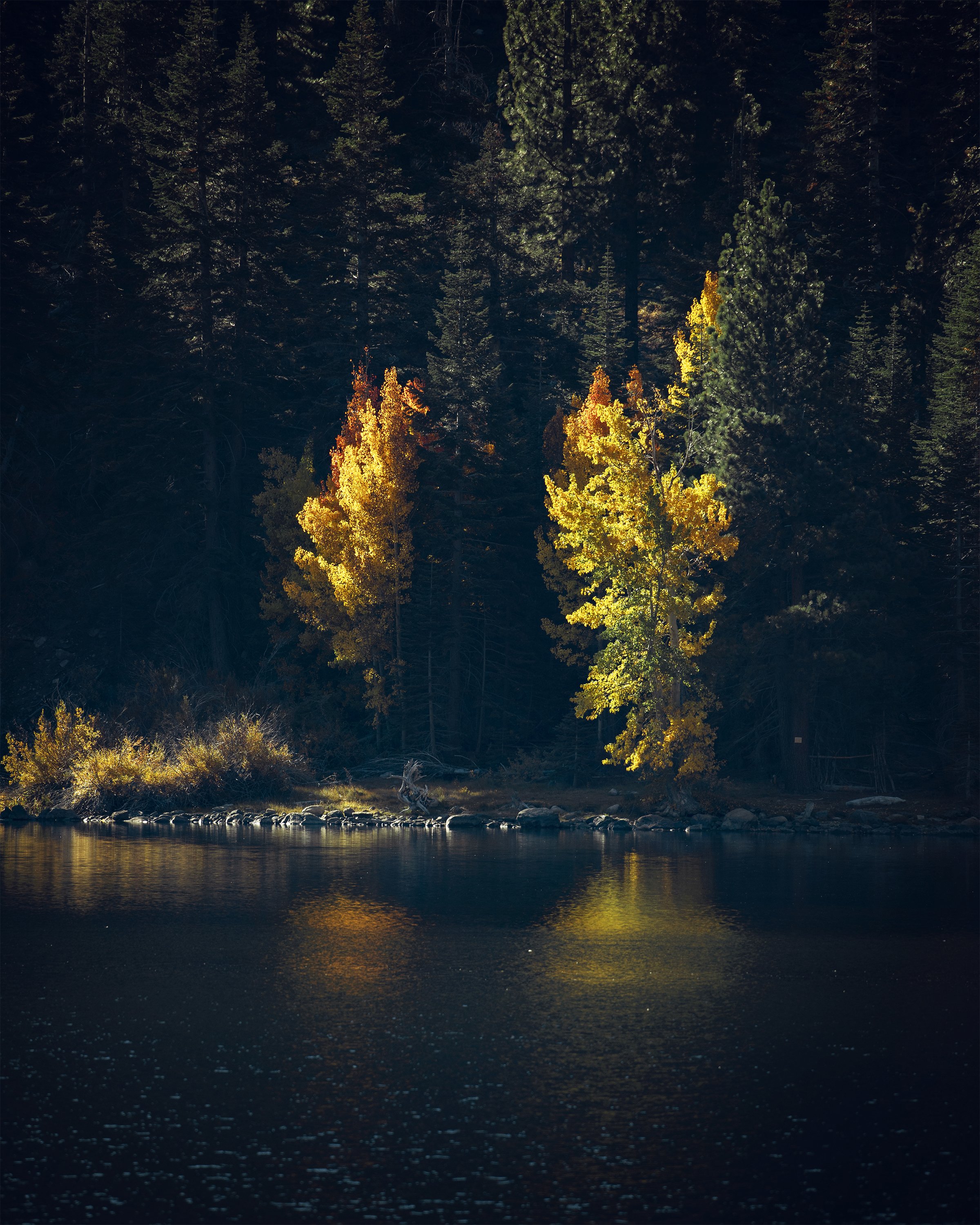 Twin Lakes - Eastern Sierra Fall Colors — Flying Dawn Marie | Travel ...