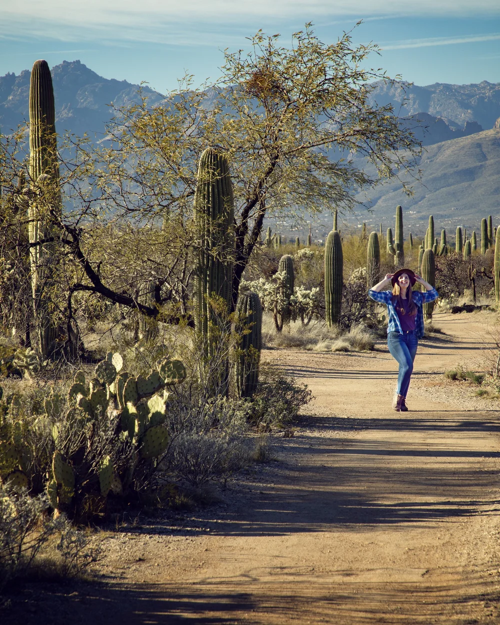 Mica View Trail - Easy & Fun Hike in Saguaro National Park (Tucson, AZ ...