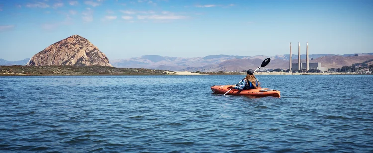 Morro Bay Kayak Tour: TOP RATED Wildlife Adventure on CA’s Central ...