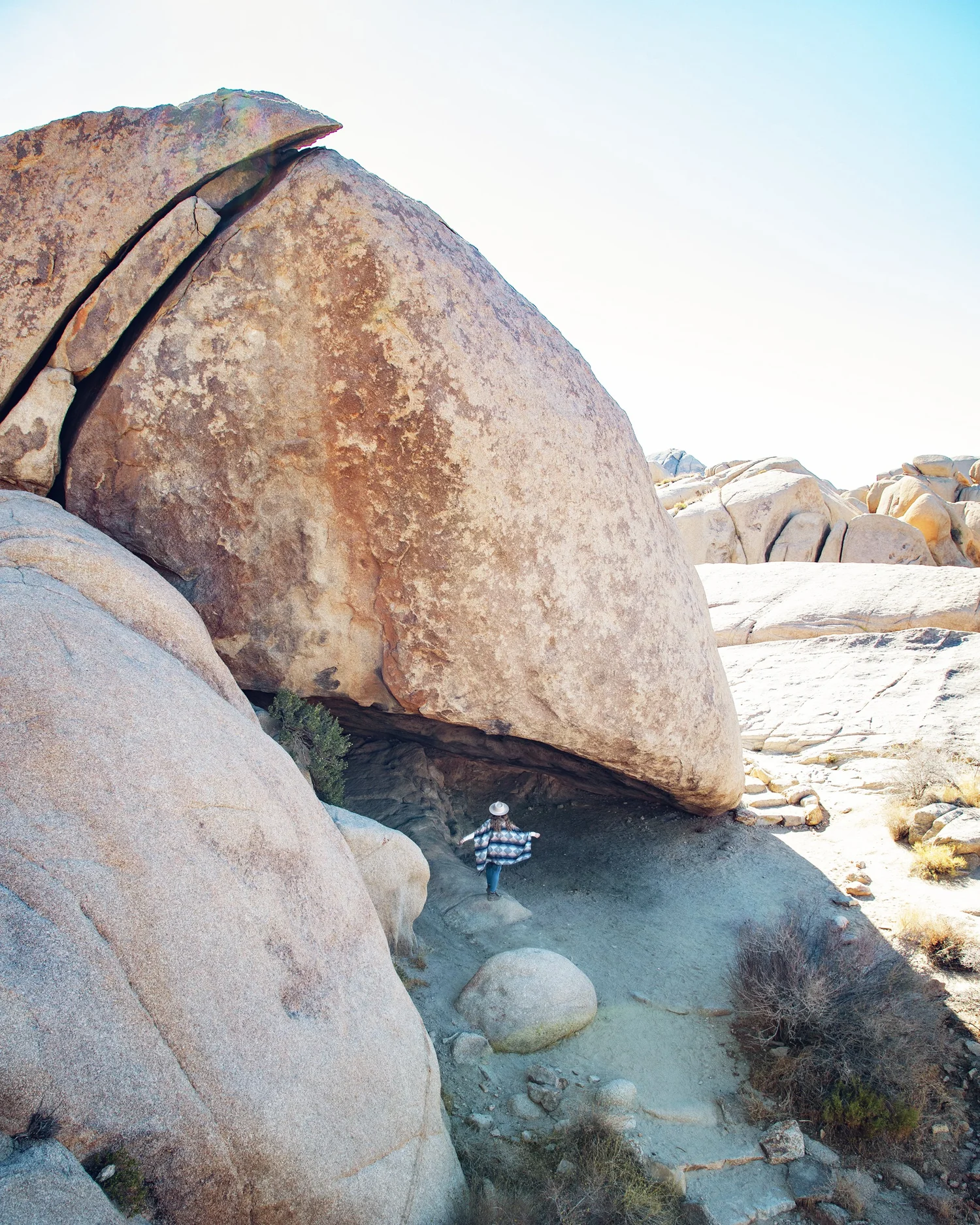 Top 8 Rock Formations - Joshua Tree National Park — Flying Dawn Marie ...