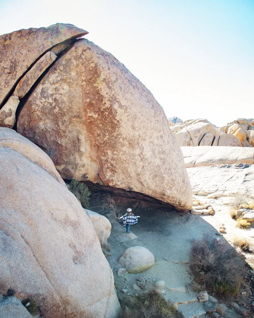 Top 8 Rock Formations - Joshua Tree National Park — Flying Dawn Marie ...