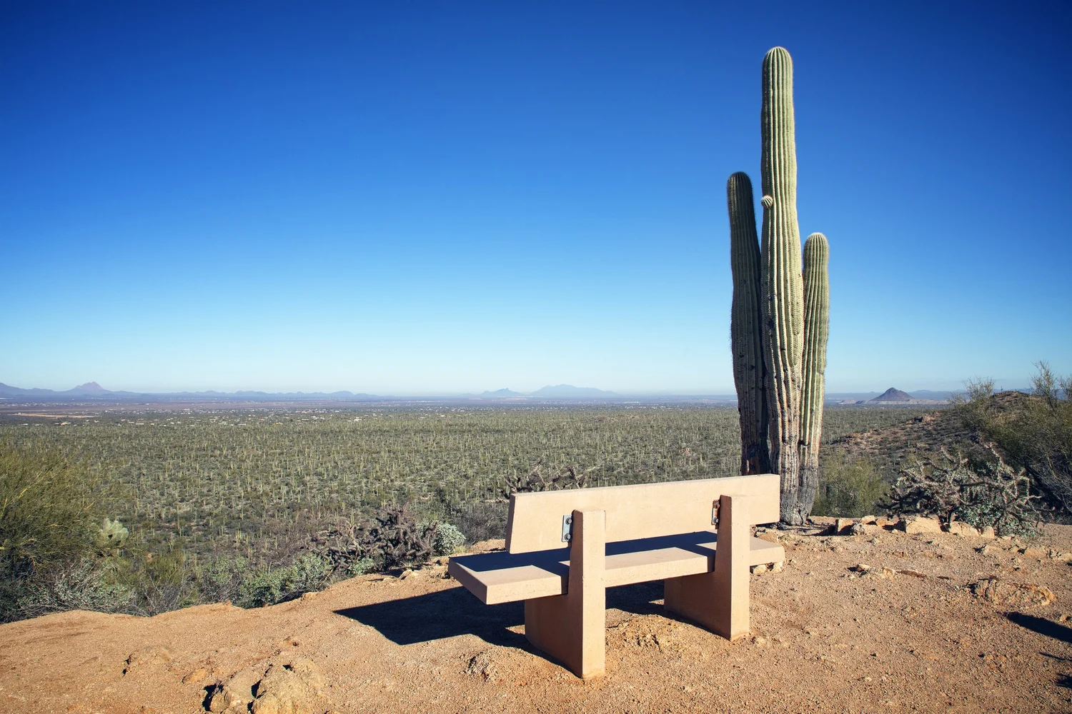 Valley View Overlook Trail (Saguaro National Park West) — Flying Dawn ...