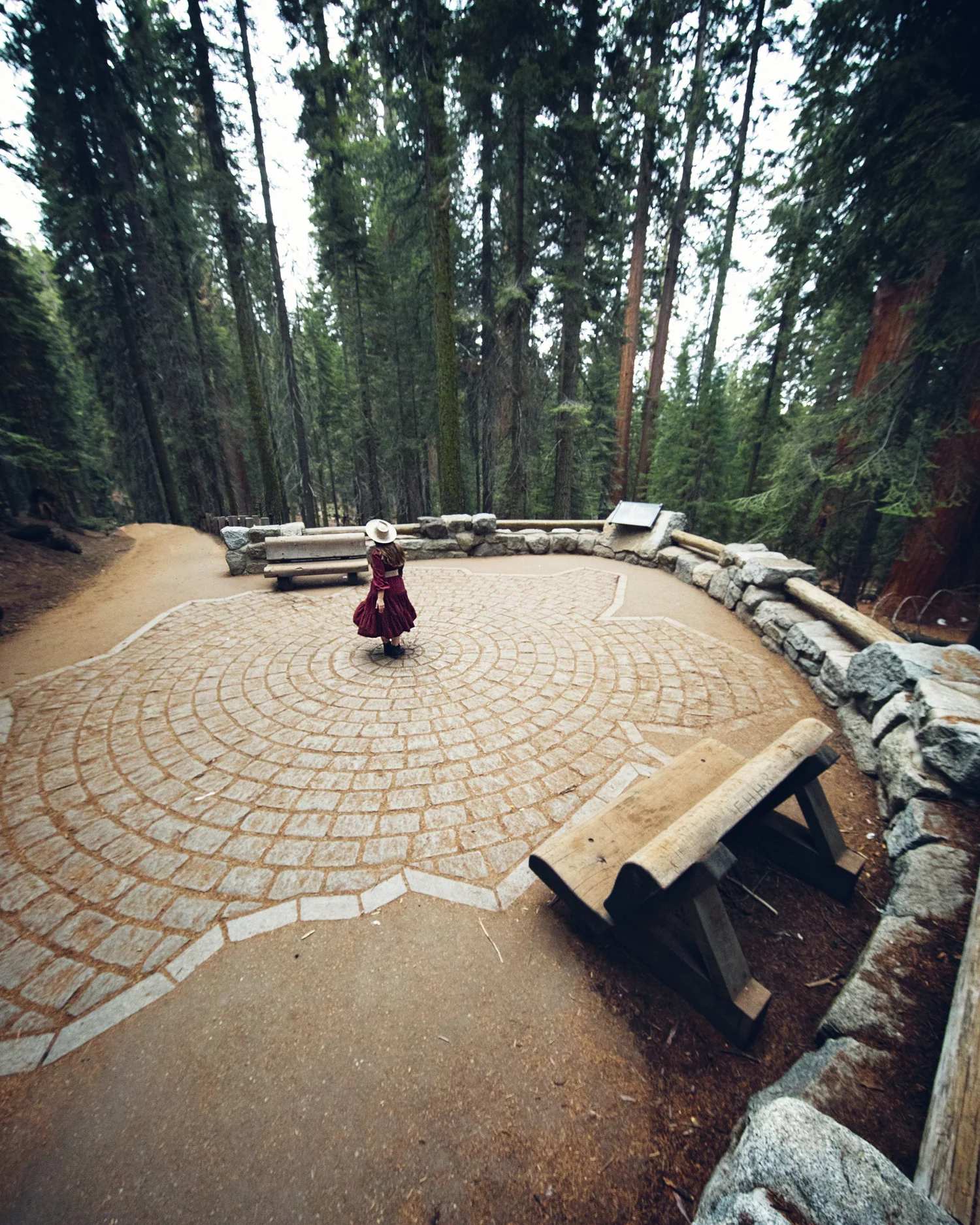 Visit the General Sherman Tree in Sequoia National Park — Flying Dawn ...