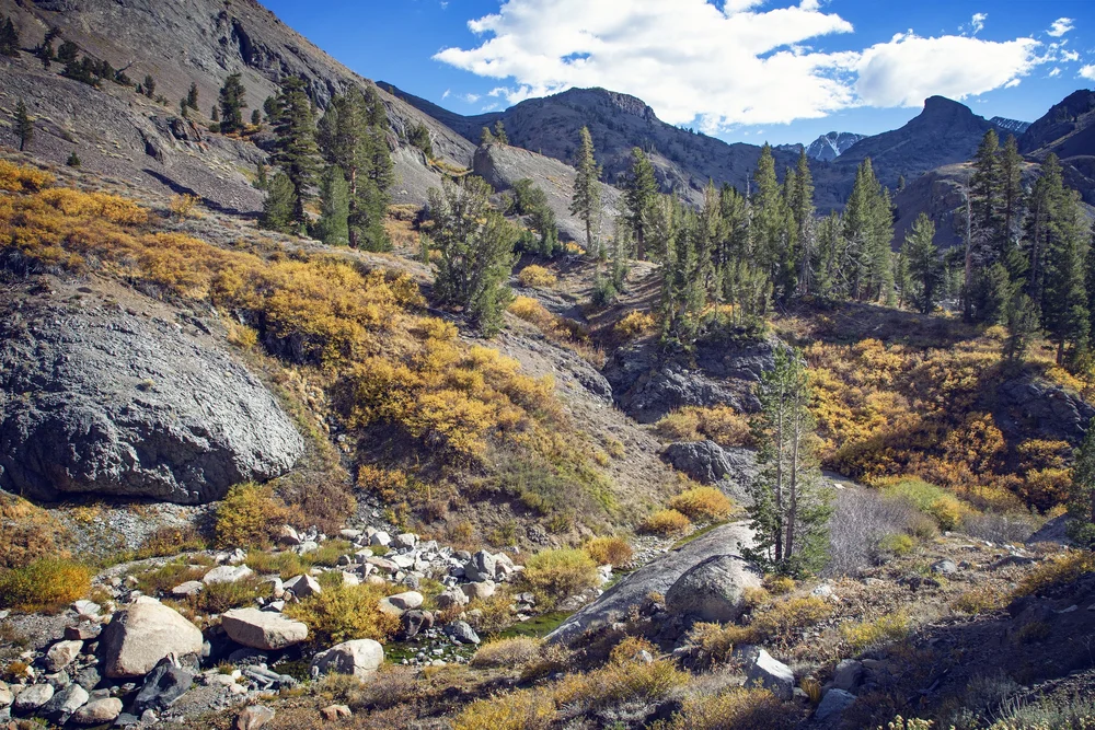 Sonora Pass Fall Colors & Top Spots (High Sierra) — Flying Dawn Marie ...