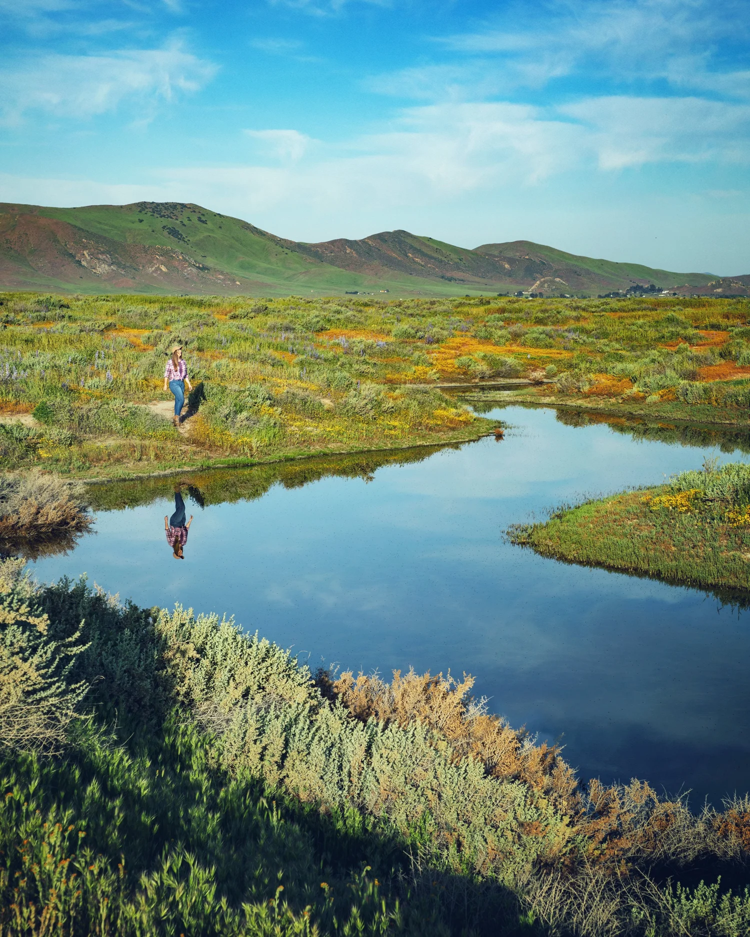 Spring Wildflowers at Carrizo Plain National Monument — Flying Dawn ...