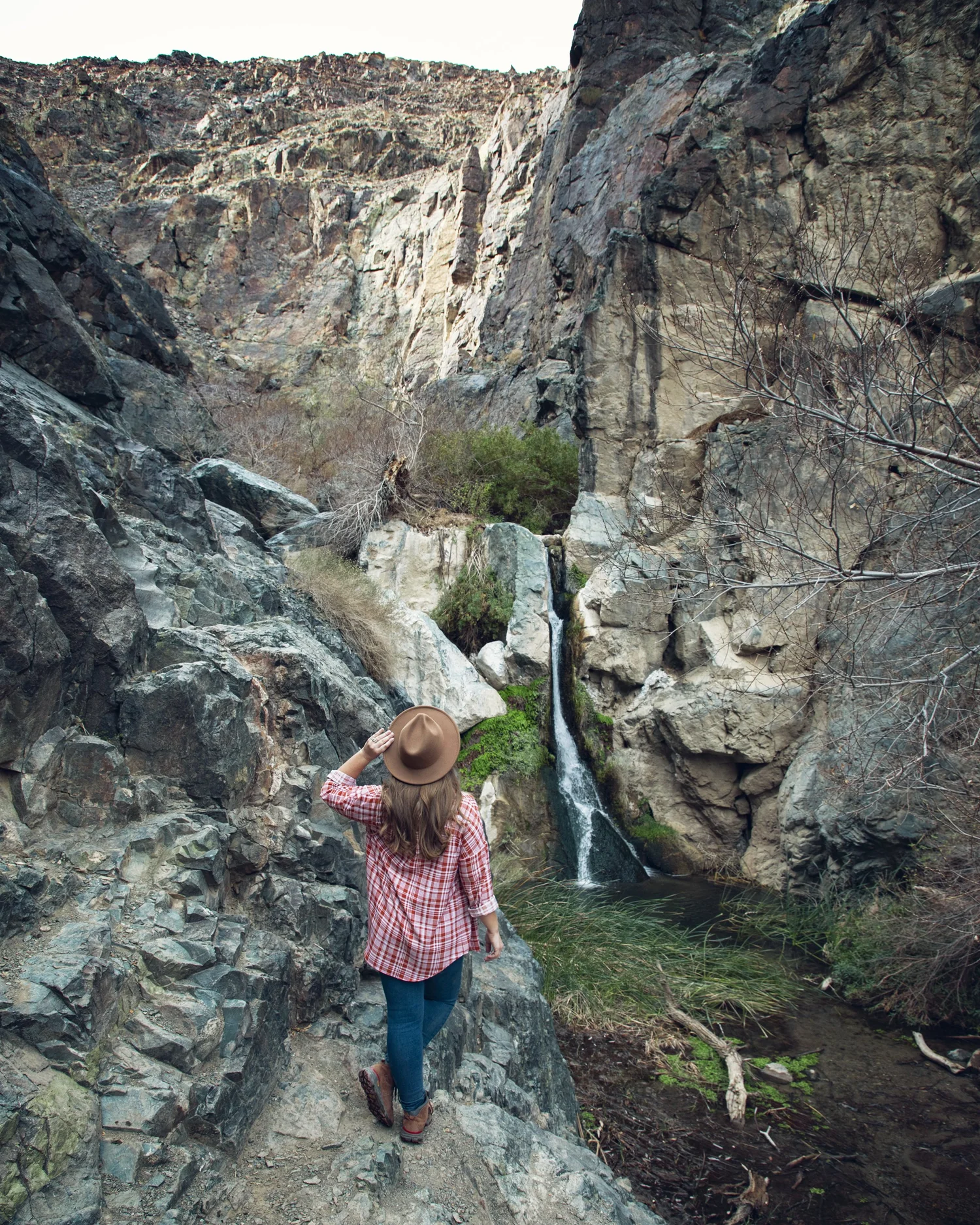 Darwin Falls (Death Valley National Park) — Flying Dawn Marie | Travel ...