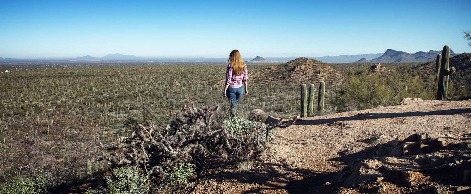 Valley View Overlook Trail (Saguaro National Park West) — Flying Dawn ...