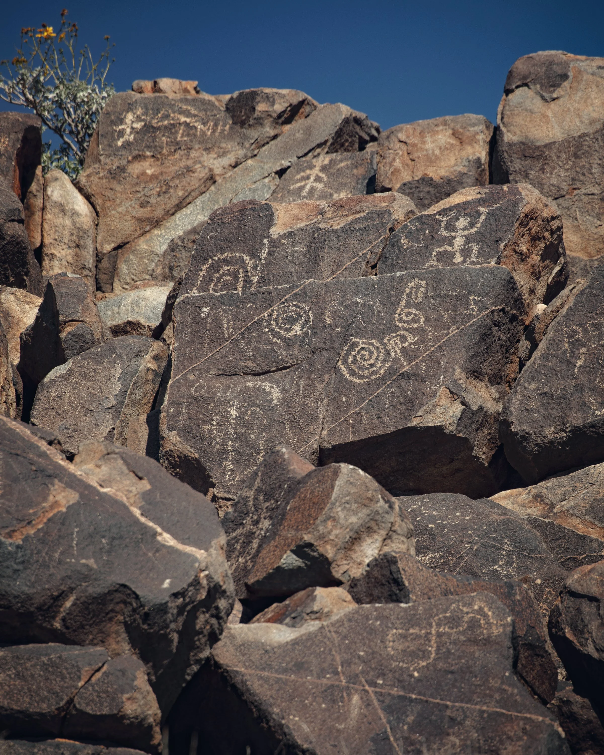 Signal Hill Petroglyphs (Saguaro National Park West) — Flying Dawn ...