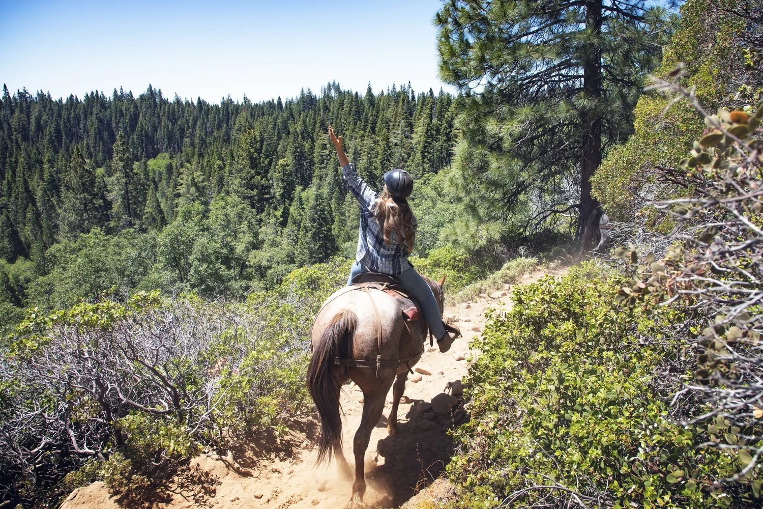10 Reasons to Stay in Oakhurst on Your Next Yosemite Trip — Flying Dawn ...