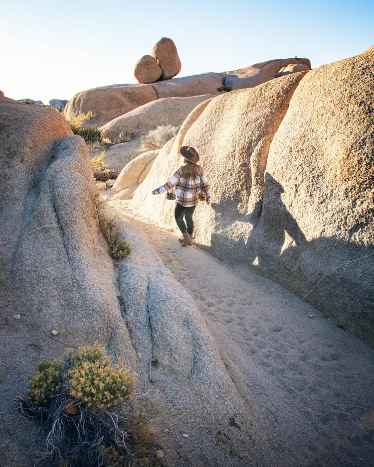Discovery Trail (Joshua Tree) Kid-Friendly Hike — Flying Dawn Marie ...