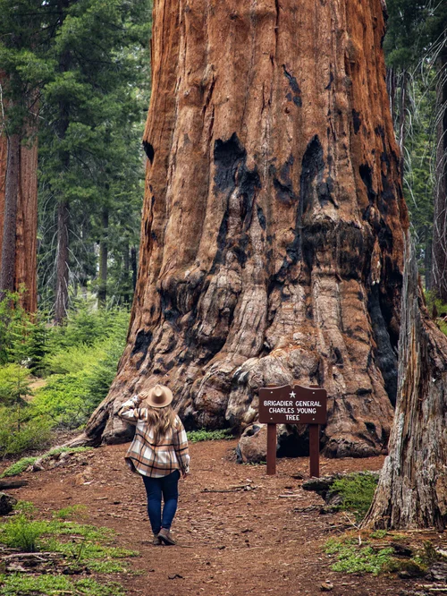 2026 Fee Changes for Yosemite, Sequoia & Kings Canyon: Complete Guide ...