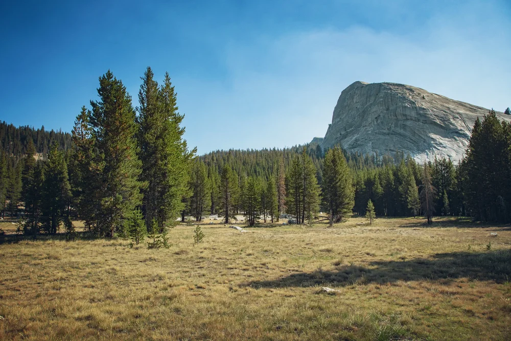 Soda Springs and Parsons Memorial Lodge - Yosemite National Park ...
