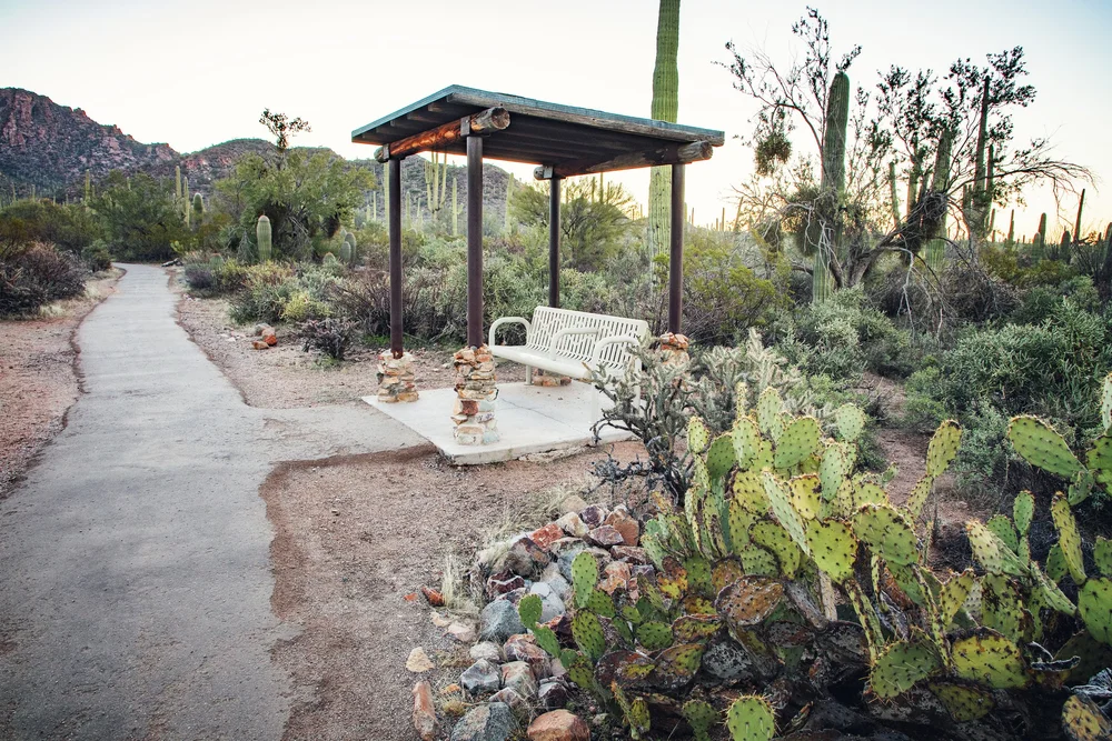 Desert Discovery Nature Trail (Saguaro National Park West) — Flying ...