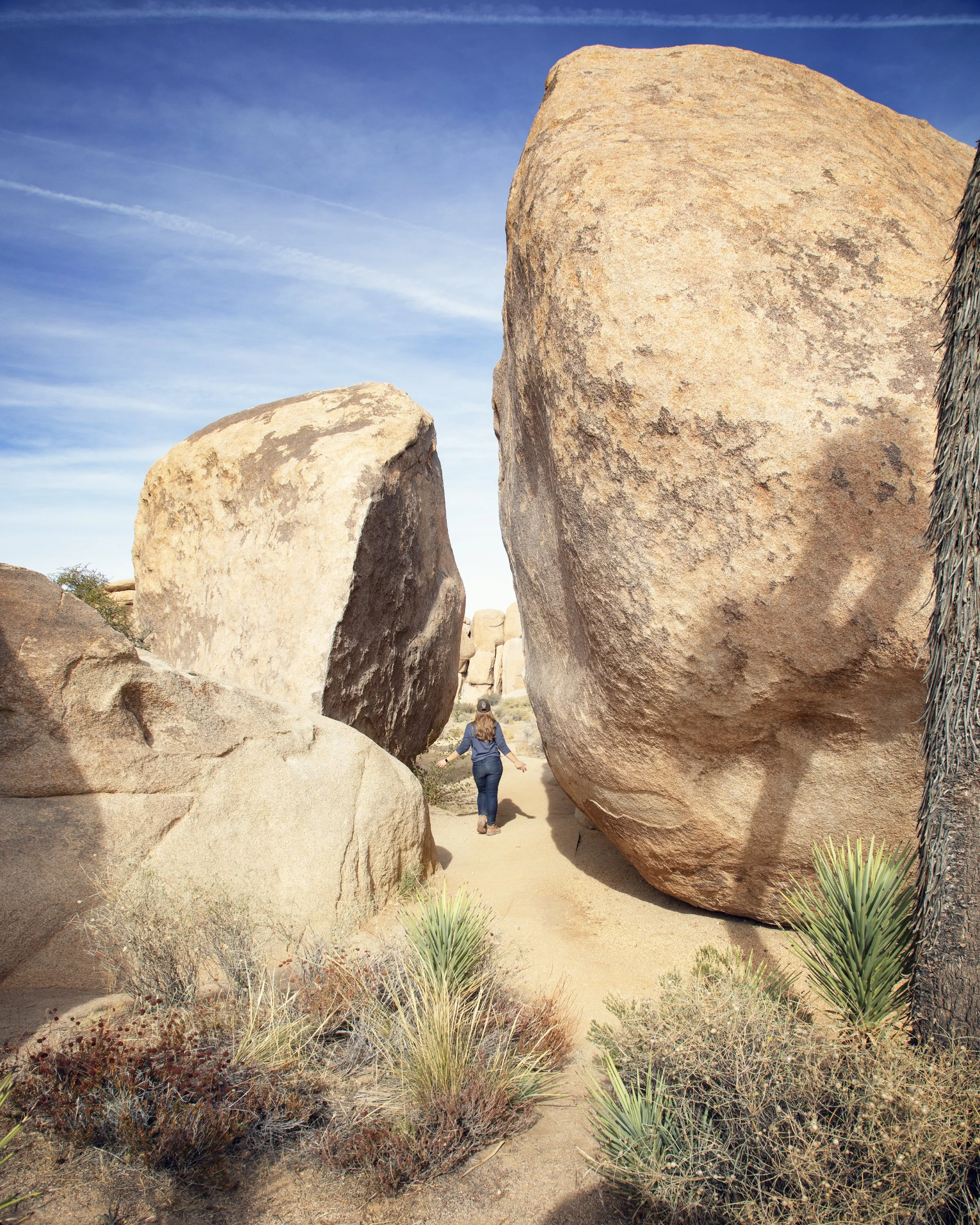 Cap Rock Nature Trail & Bizarre History (Joshua Tree National Park ...