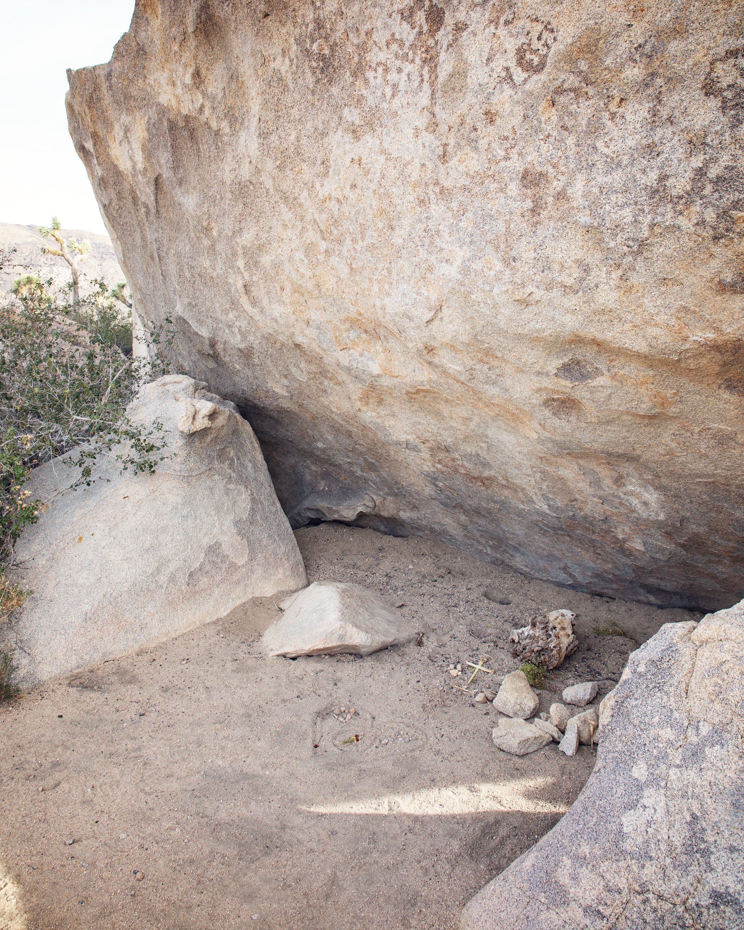 Cap Rock Nature Trail & Bizarre History (Joshua Tree National Park ...