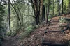 Exploring the Waterfalls of Lewis Creek Trail - Oakhurst, CA — Flying ...