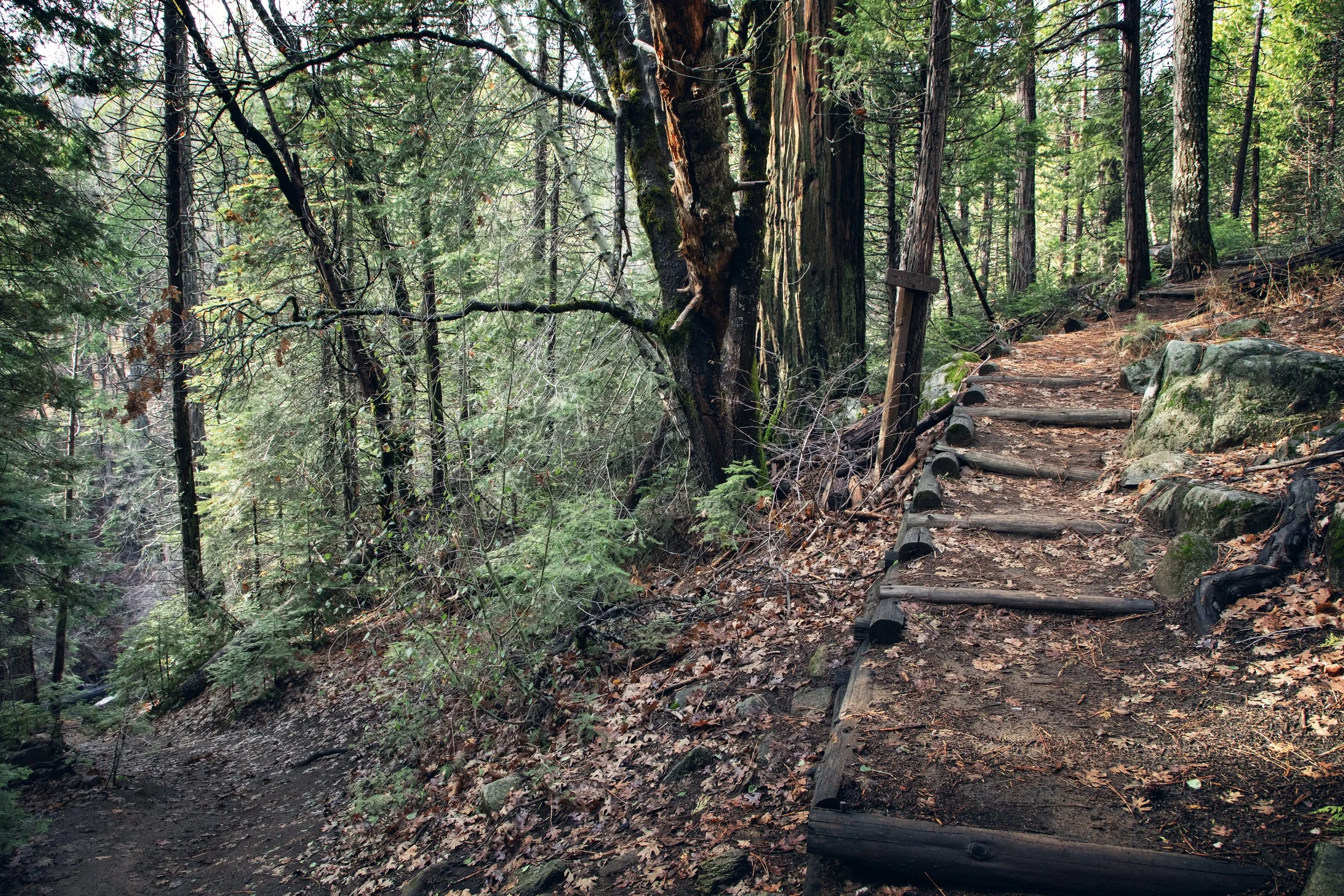 Exploring the Waterfalls of Lewis Creek Trail - Oakhurst, CA — Flying ...