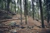 Congress Trail (Sequoia National Park) — Flying Dawn Marie | Travel ...