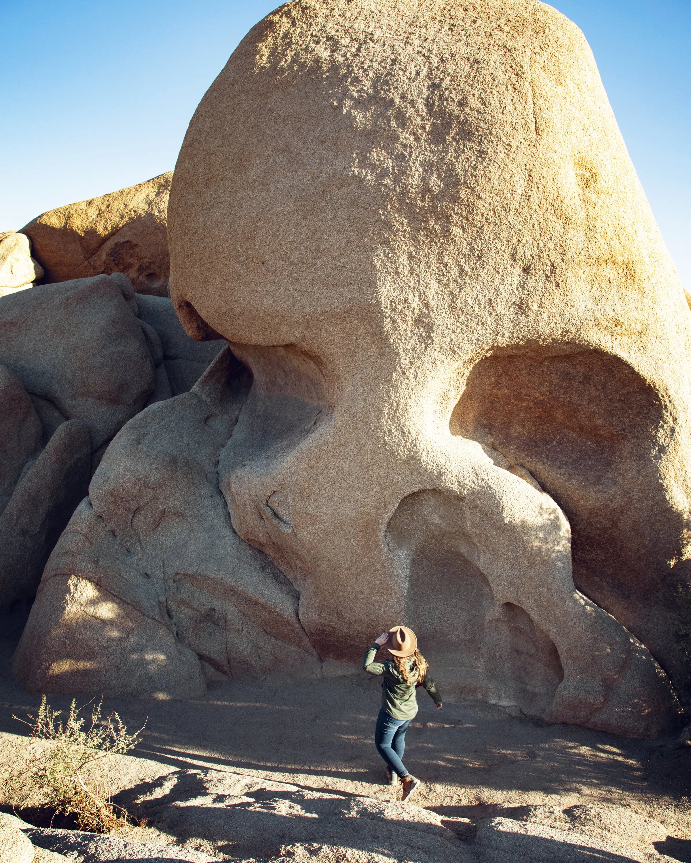 Top 8 Rock Formations - Joshua Tree National Park — Flying Dawn Marie ...