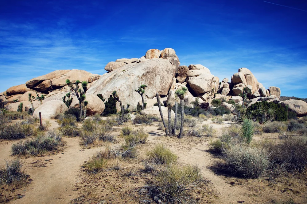 Hall of Horrors SLOT CANYONS (Joshua Tree National Park) — Flying Dawn ...