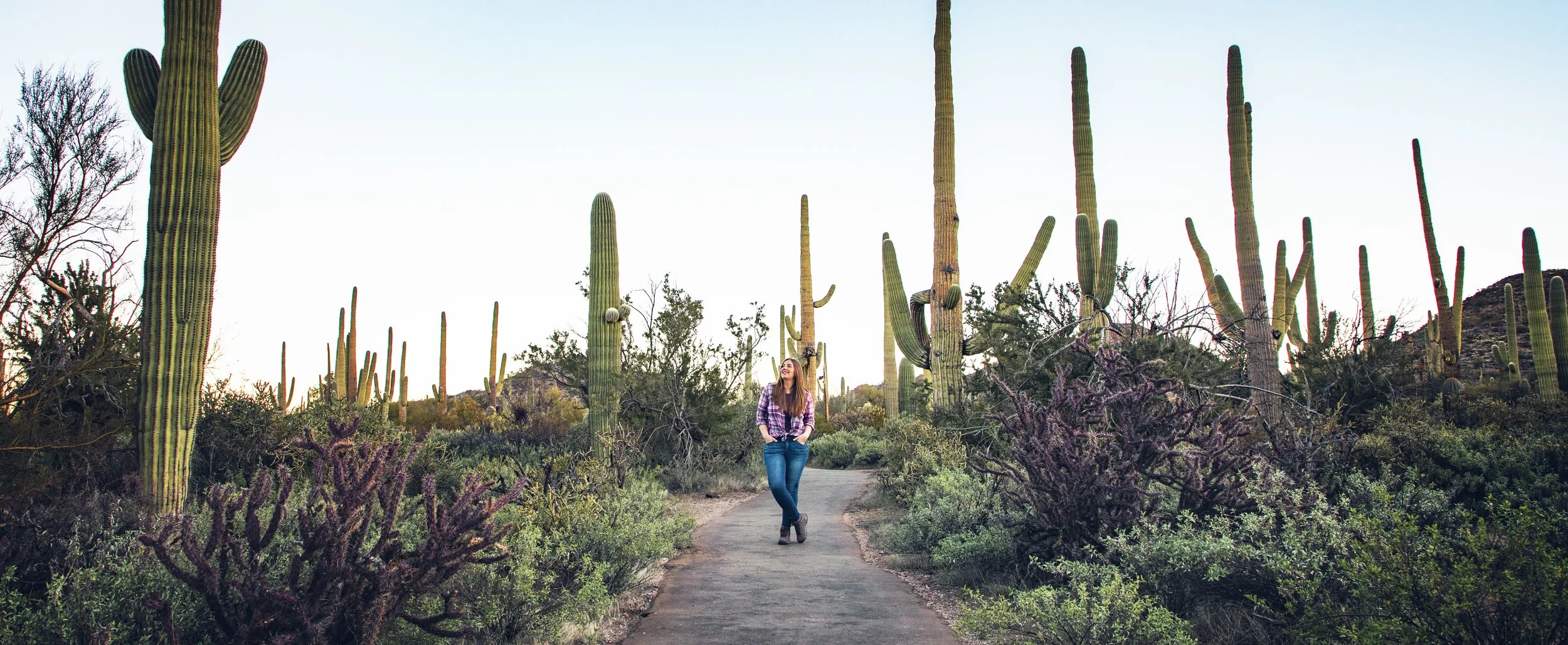 Desert Discovery Nature Trail (Saguaro National Park West) — Flying ...