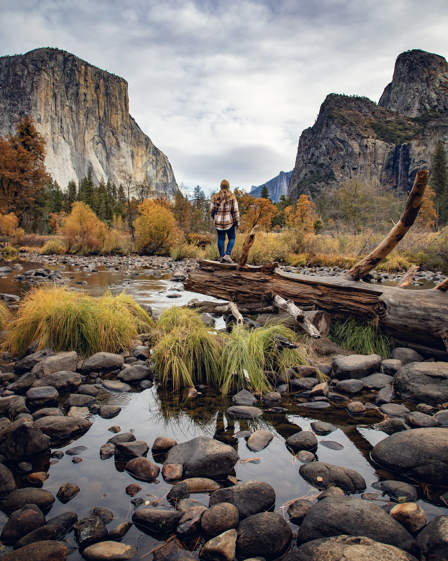Yosemite National Park: When is the Best Season to Visit? — Flying Dawn ...
