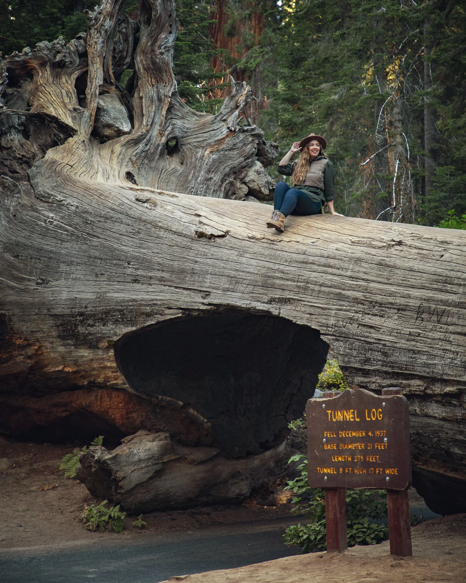 Tunnel Log Drive Through Tree in Sequoia National Park — Flying Dawn ...