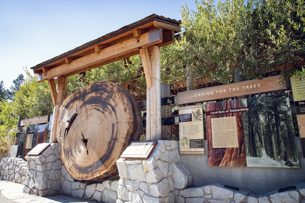 Mariposa Grove of Giant Sequoias Visitors Guide (YOSEMITE) — Flying ...