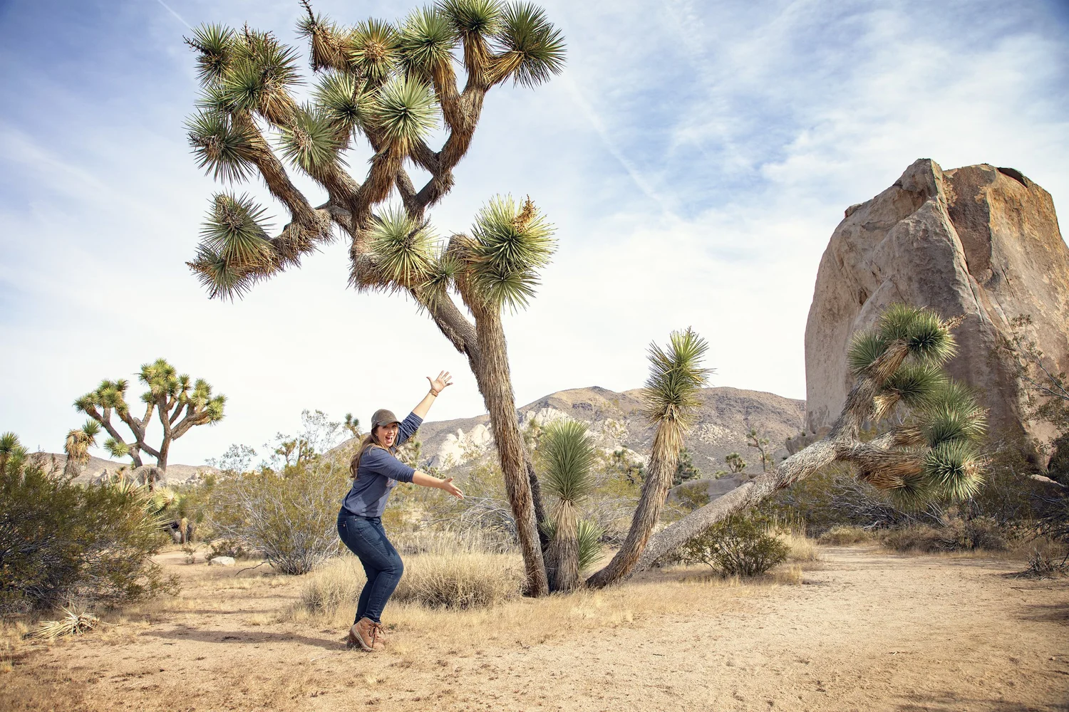 Perfect 1 Day Itinerary for Joshua Tree National Park — Flying Dawn ...