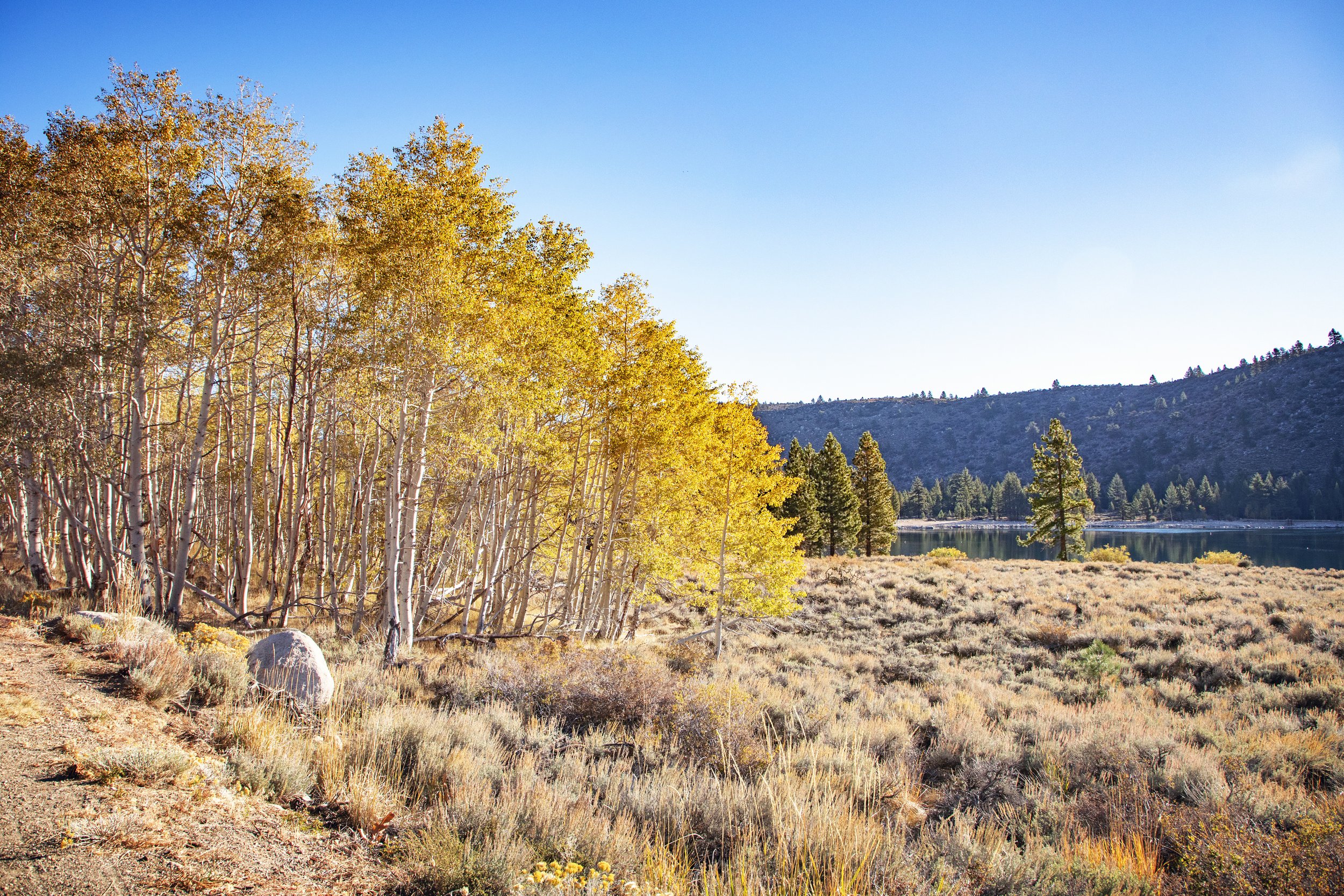 Twin Lakes - Eastern Sierra Fall Colors — Flying Dawn Marie | Travel ...