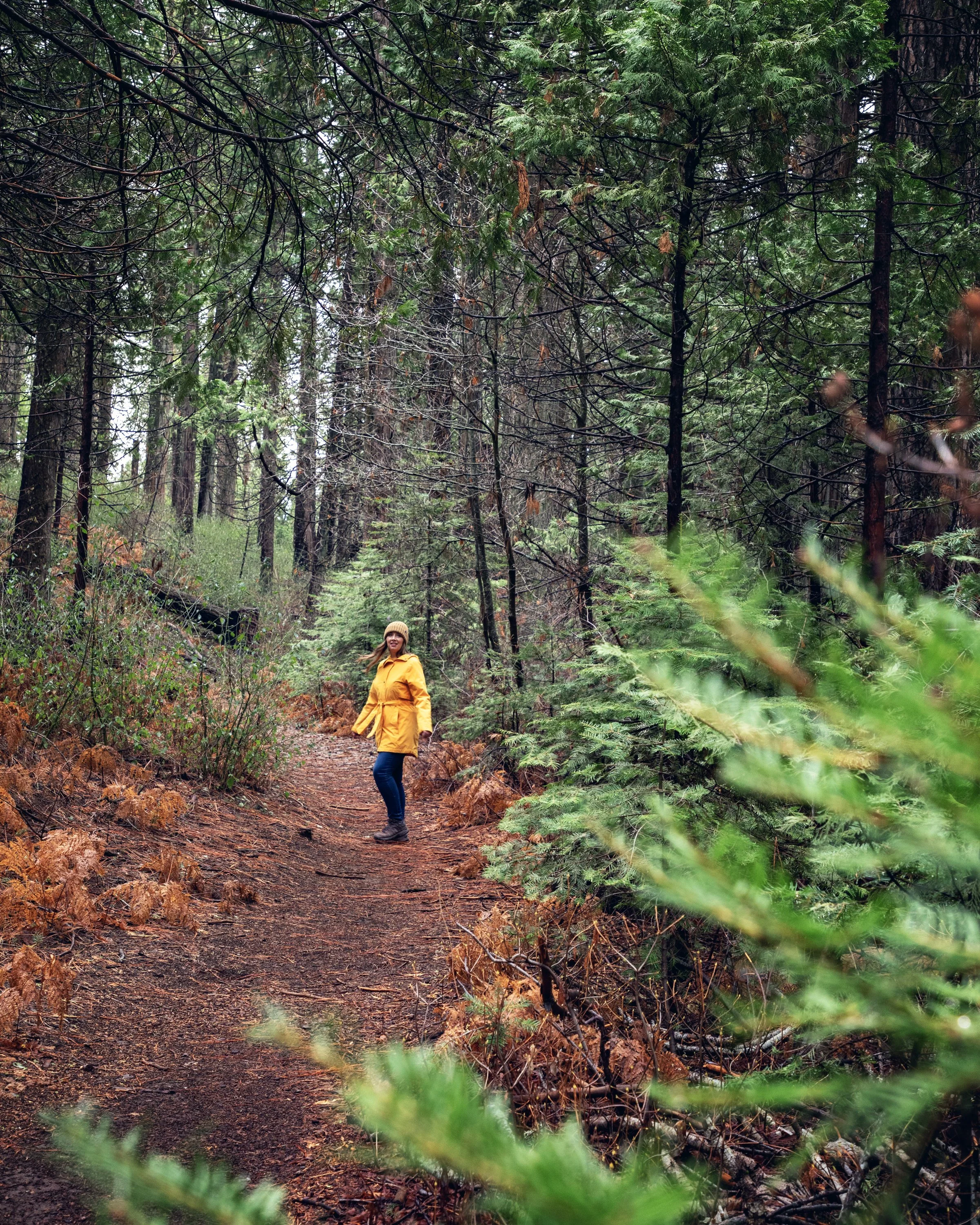 Exploring the Waterfalls of Lewis Creek Trail - Oakhurst, CA — Flying ...